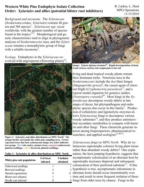 Xylariales and allies - MPG Ranch