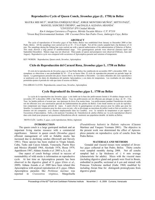 Reproductive Cycle of Queen Conch, Strombus gigas - Gulf and ...