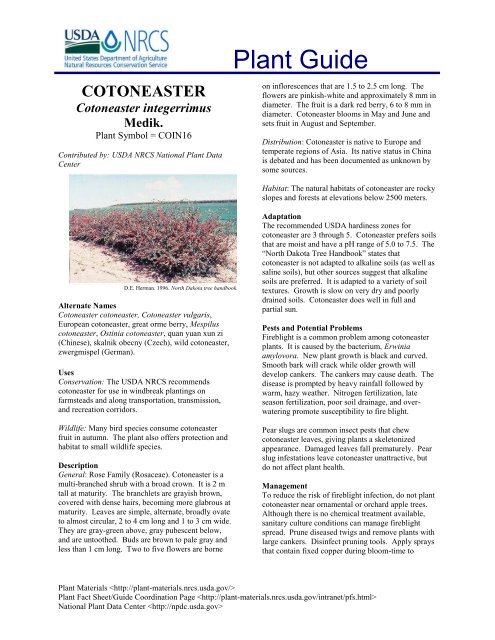 Fixed Plants With Names