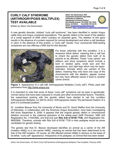 Curly Calf Syndrome (Arthrogryposis Multiplex) - Department of ...