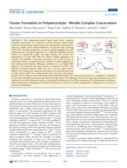 Cluster Formation in Polyelectrolyte-Micelle Complex Coacervation