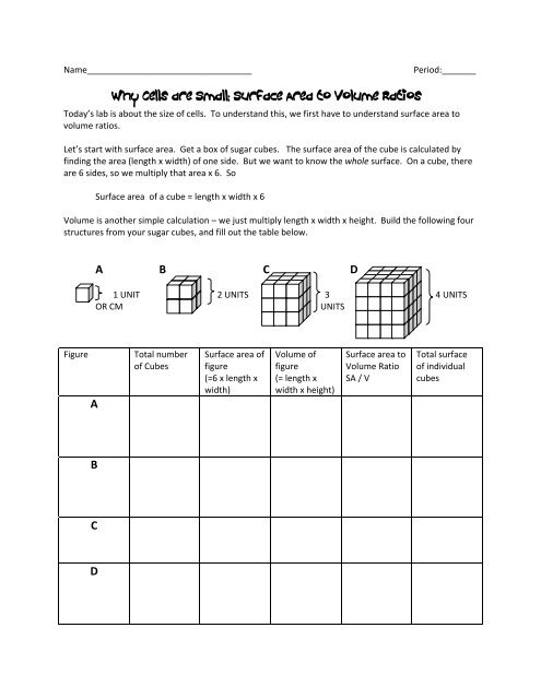 Surface Area To Volume Ratio Worksheet Surface Area To Volume Ratio Worksheet