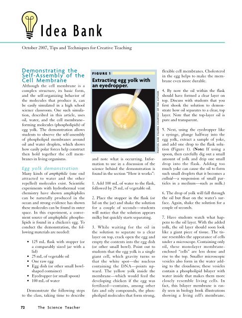 Demonstrating the Self-Assembly of the Cell Membrane