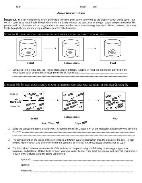 Storyboard #3 Observe the