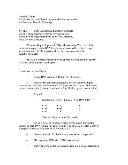 Genomic DNA: Restriction Enzyme Digests, Agarose Gel ...