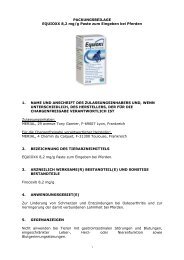 Purevax RCPCH FeLV - Merial