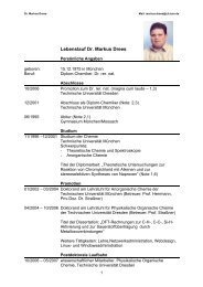 Lebenslauf - Home - it service markus paschmann