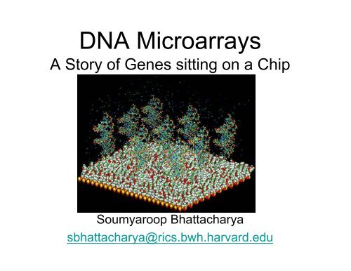 Introduction to Microarray Technology - Lung Transcriptome