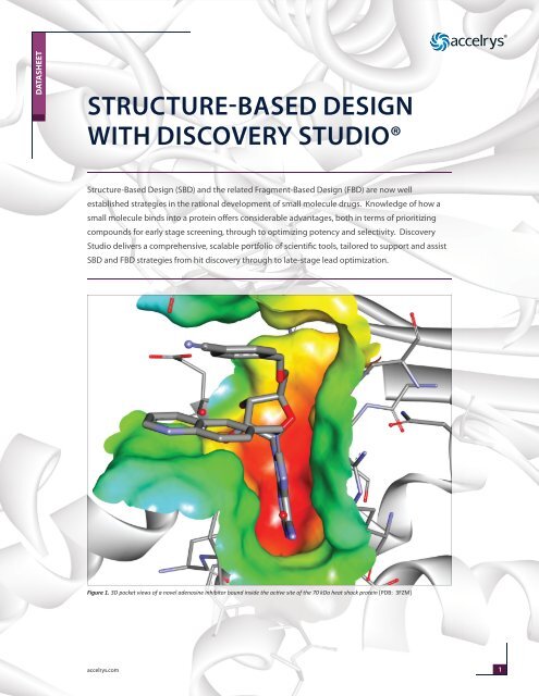structure-based design with discovery studio - Accelrys