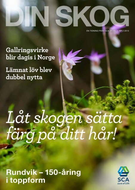 Rundvik – 150-åring i toppform - SCA