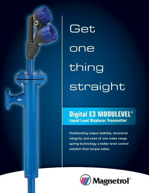 48-250.0 E3 Modulevel Technology Brochure - Magnetrol International