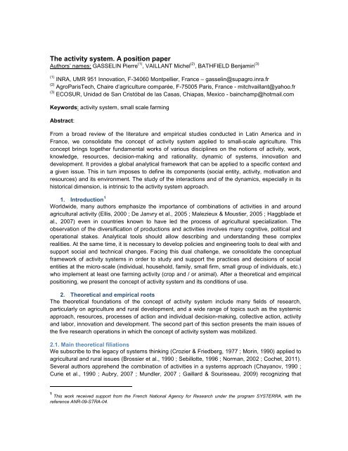 The activity system. A position paper - IFSA symposium 2012