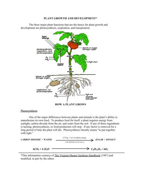 PLANT GROWTH AND DEVELOPMENT 
