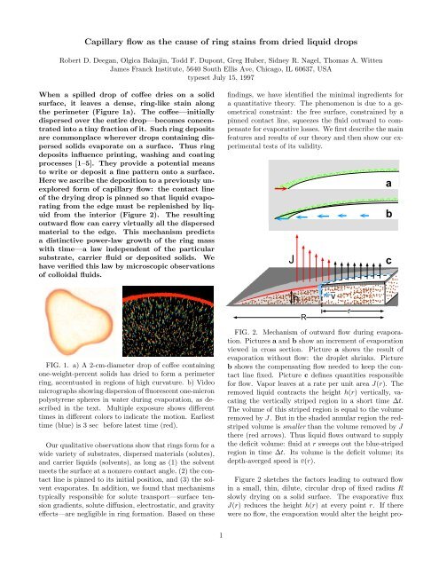 Capillary flow as the cause of ring stains from dried liquid drops