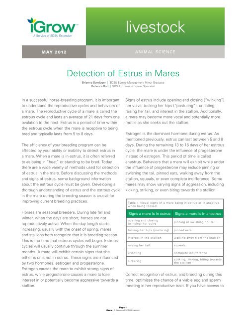 Detection of Estrus in Mares - iGrow