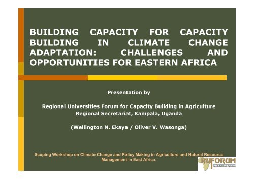building capacity for capacity building in climate change adaptation