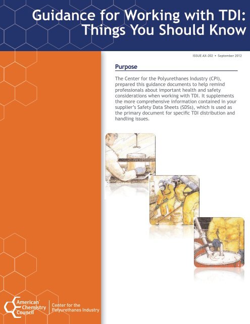 Guidance for Working with TDI: Things You Should Know