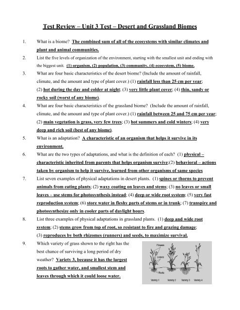 Test Review – Unit 3 Test – Desert and Grassland Biomes