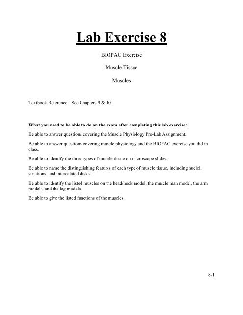 Lab Exercise 8