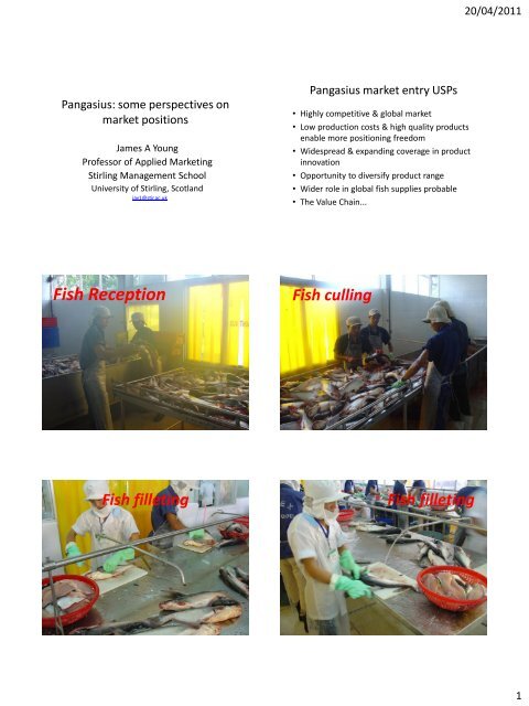 Fish Reception - SEAT Global