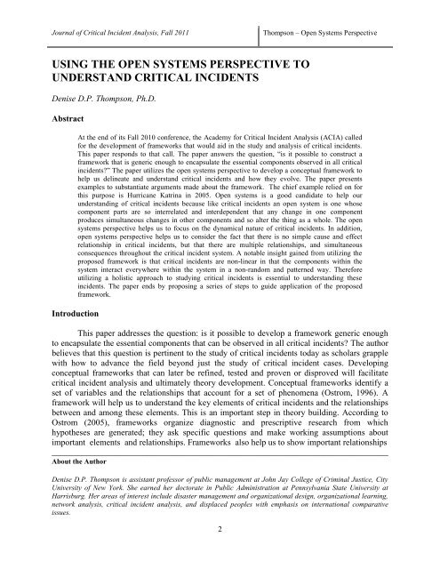 using the open systems perspective to understand critical incidents