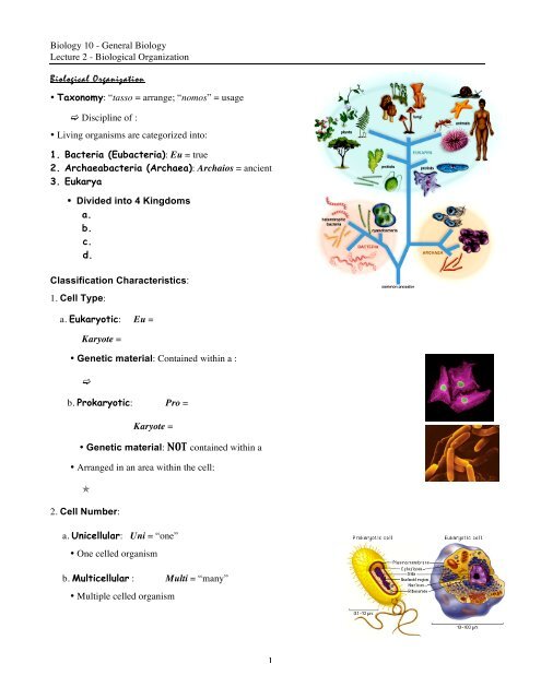 Biology 10 - General Biology Lecture 2 - Biological Organization ...