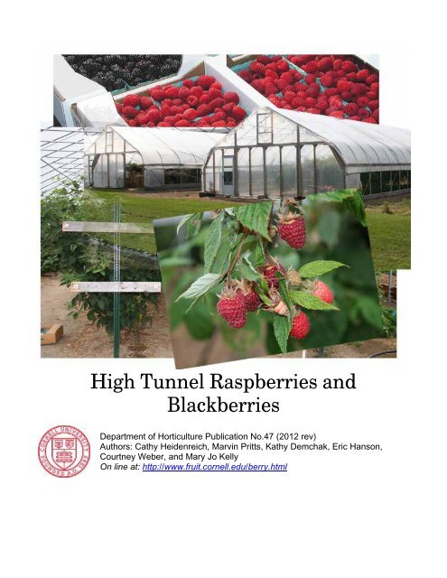 High Tunnel Raspberries and Blackberries - Cornell Fruit - Cornell ...