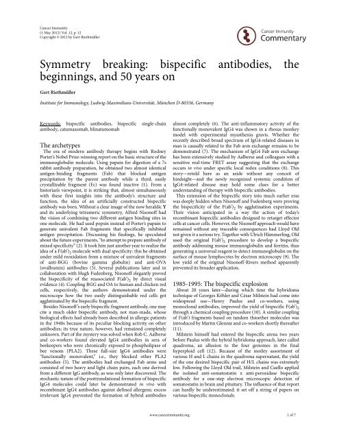 Symmetry breaking - Cancer Immunity