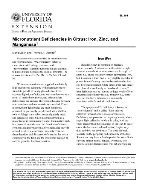 Micronutrient Deficiencies in Citrus: Iron, Zinc, and Manganese