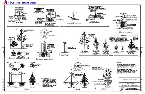 Landscape Planting Details Landscape Trees, Shrubs & Perennial Vines