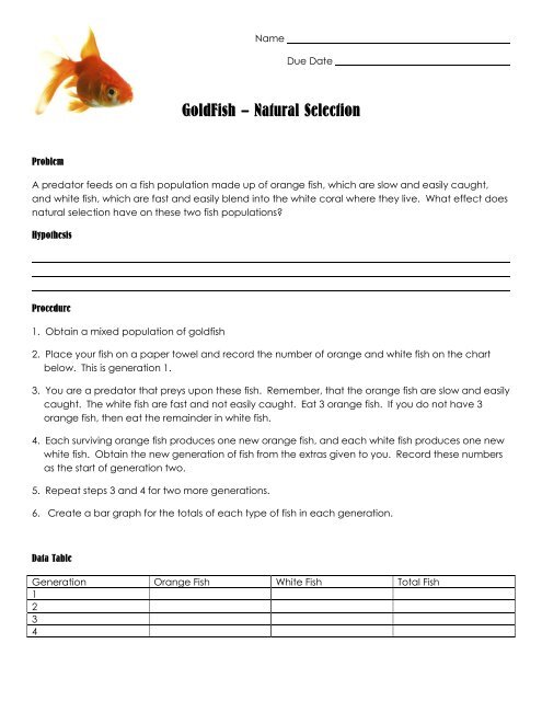 GoldFish – Natural Selection