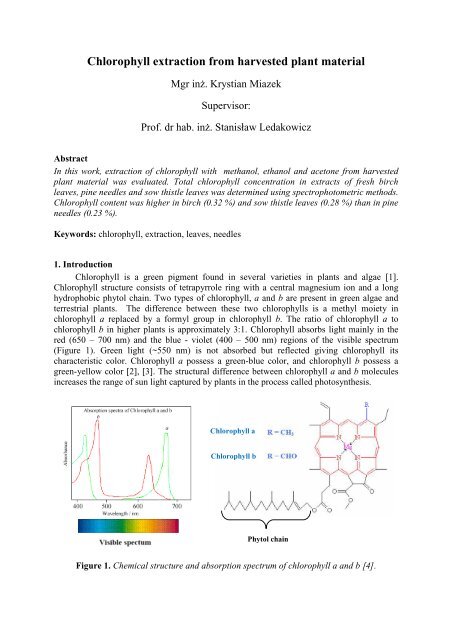 Chlorophyll extraction from harvested plant material