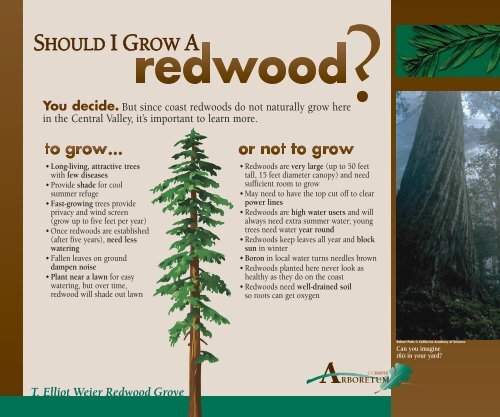 SHOULD I GROW A - the UC Davis Arboretum