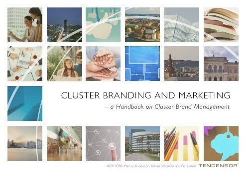 Cluster Brand Management