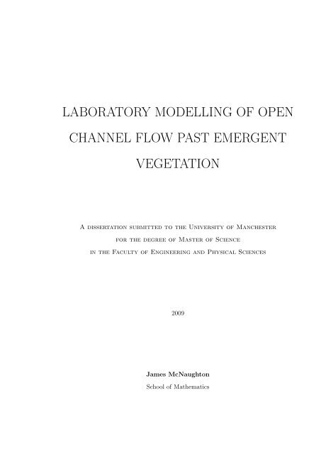 laboratory modelling of open channel flow past emergent vegetation