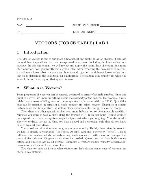 VECTORS (FORCE TABLE) LAB I 1 Introduction 2 What ... - Faculty