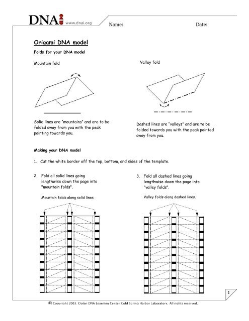 Origami Dna Model DNA Model/DNA Origami /DIY/ DNA Tlm/Tutorial By