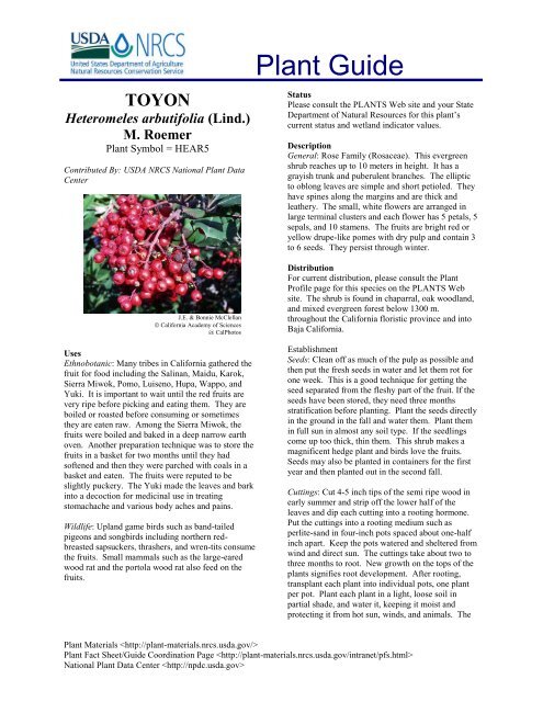 Plant Guide - USDA PLANTS Database - US Department of Agriculture