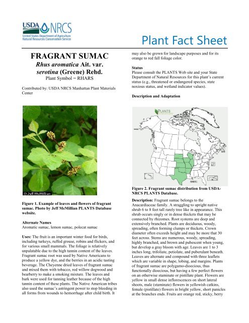 (Rhus aromatica) Plant Fact Sheet - USDA Plants Database