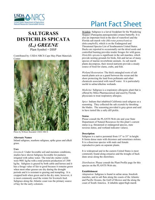 Saltgrass, Distichlis spicata, Plant Fact Sheet - USDA Plants Database