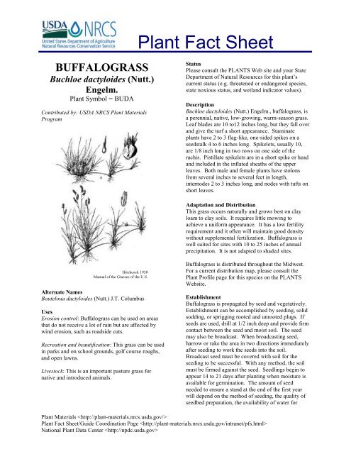 Plant Fact Sheet Template USDA Plants Database US Department 