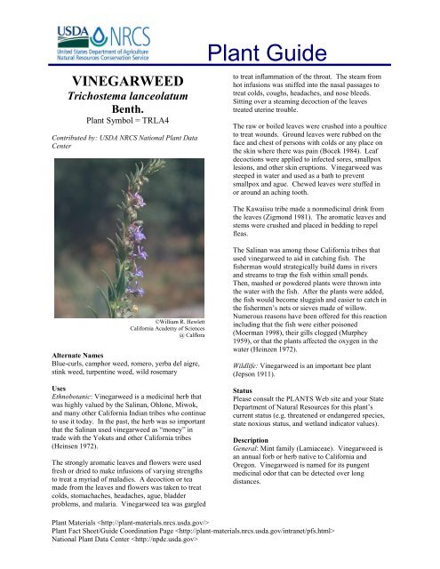 Plant Guide - USDA Plants Database - US Department of Agriculture