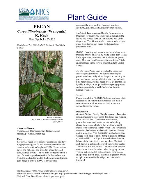 Plant Guide - USDA Plants Database - US Department of Agriculture