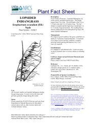 pdf - Plant Fact Sheet - USDA Plants Database - US Department of ...