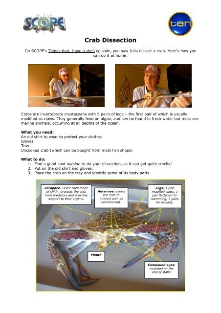 Crab Dissection
