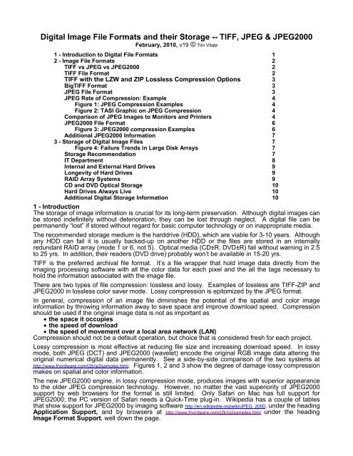 Digital Image File Formats and their Storage - Video Preservation ...