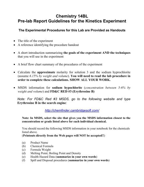 Report Guidelines for the Chemical Kinetics Experiment