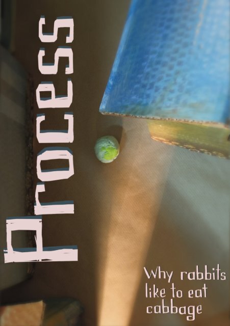 process-rabbits.pdf