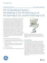 PD-10 Desalting column
