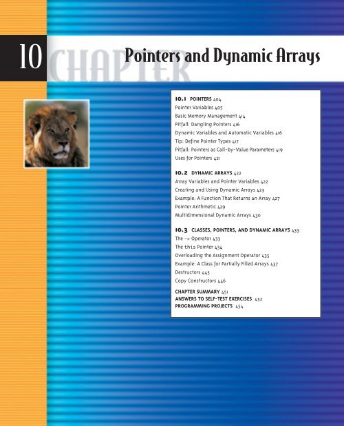 Pointers and Dynamic Arrays